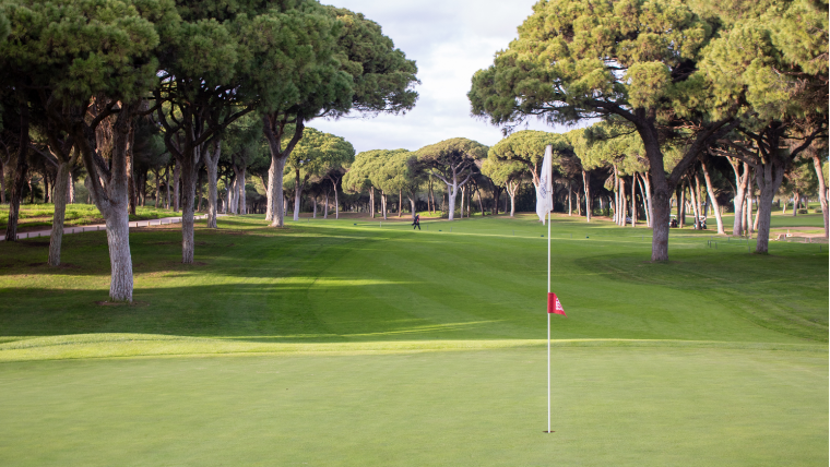 A sport full of emotions | Stuart Hall - PGA Professional | Welcome to ...