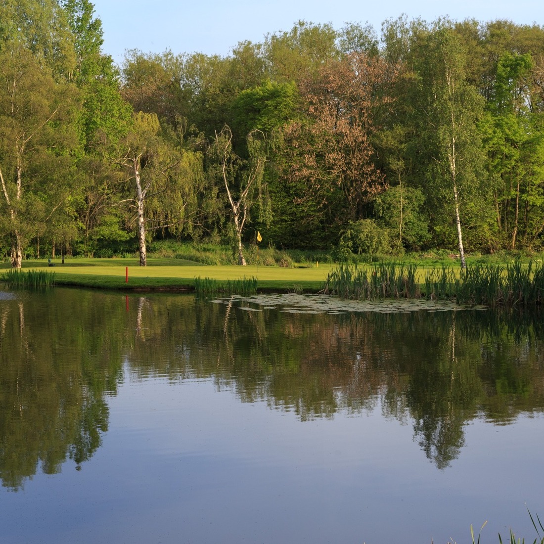 Open Competitions | Stuart Bottrill Golf Academy | The Stuart Bottrill ...